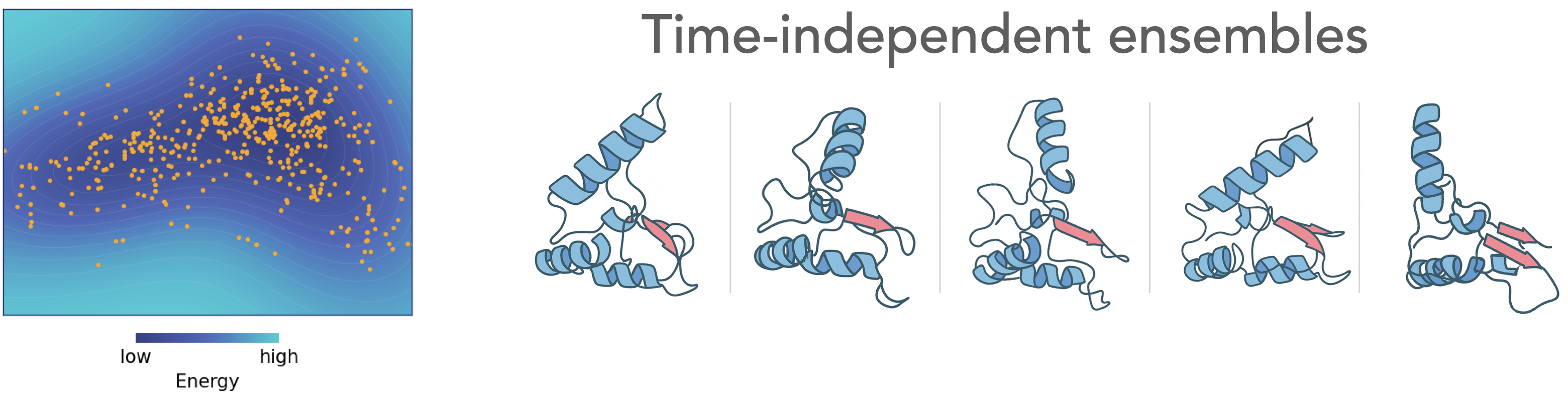 ConfRover: Generate Protein Conformational Dynamics