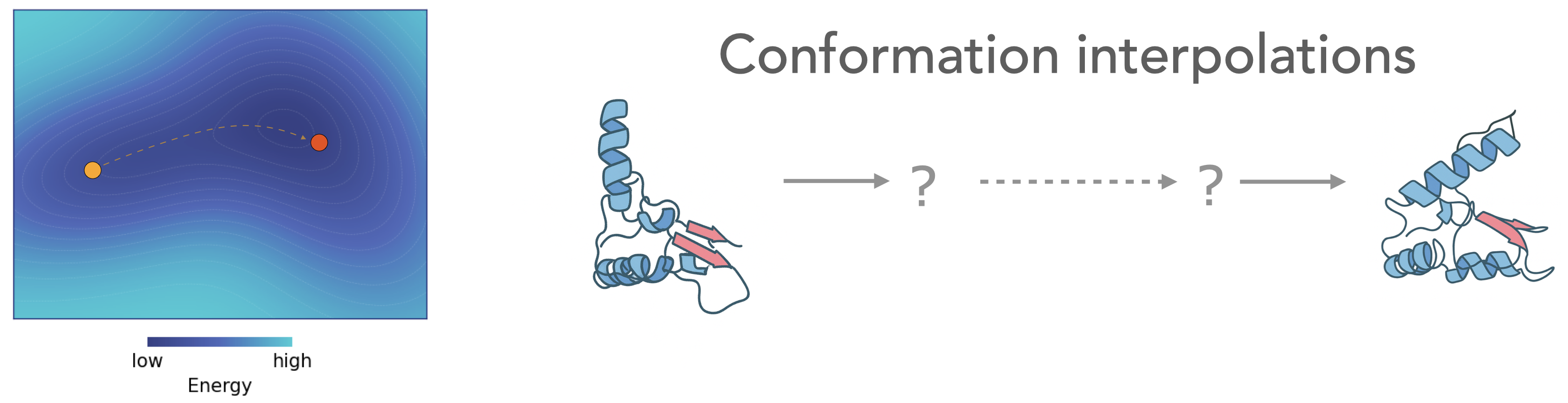 ConfRover: Generate Protein Conformational Dynamics